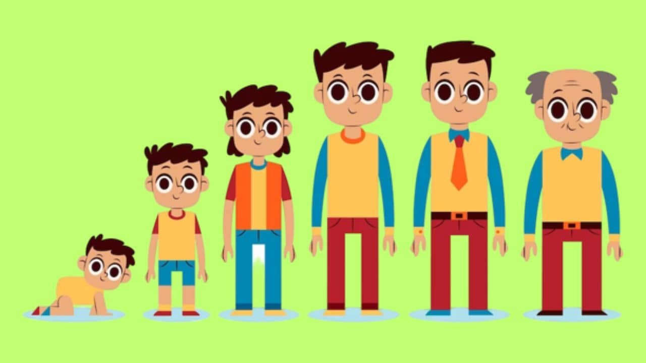 Child Development Stage by Stage: A Comprehensive Guide for Parents and ...